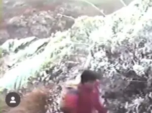 Nevasca no Rio de Janeiro tem registro impressionante - EcoSerrano