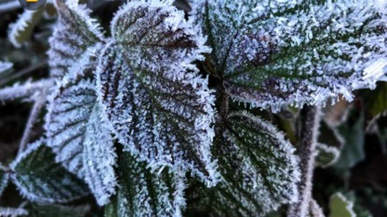 FRIO EXTREMO NO RJ: Estas cidades registraram temperatura negativa e ...