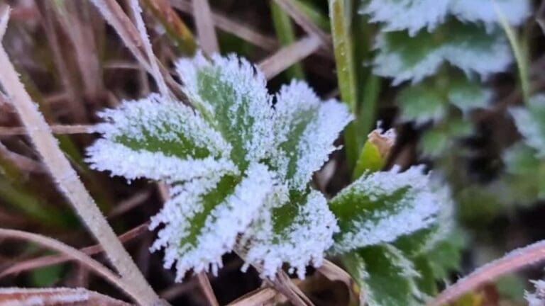 Fim da onda de frio no Rio? Previsão indica que a quarta onda gelada ...